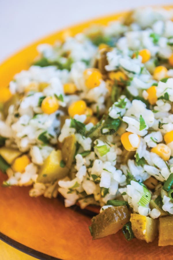 Chinese rice isolate stock photo. Image of dinner, plate - 102512830