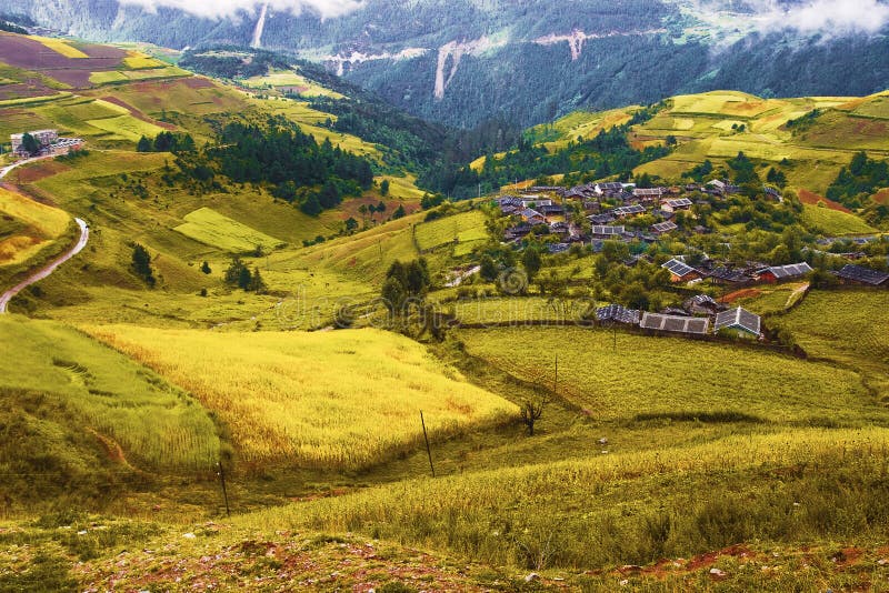 Chinese rural landscape stock photo. Image of farm, morning - 7145558