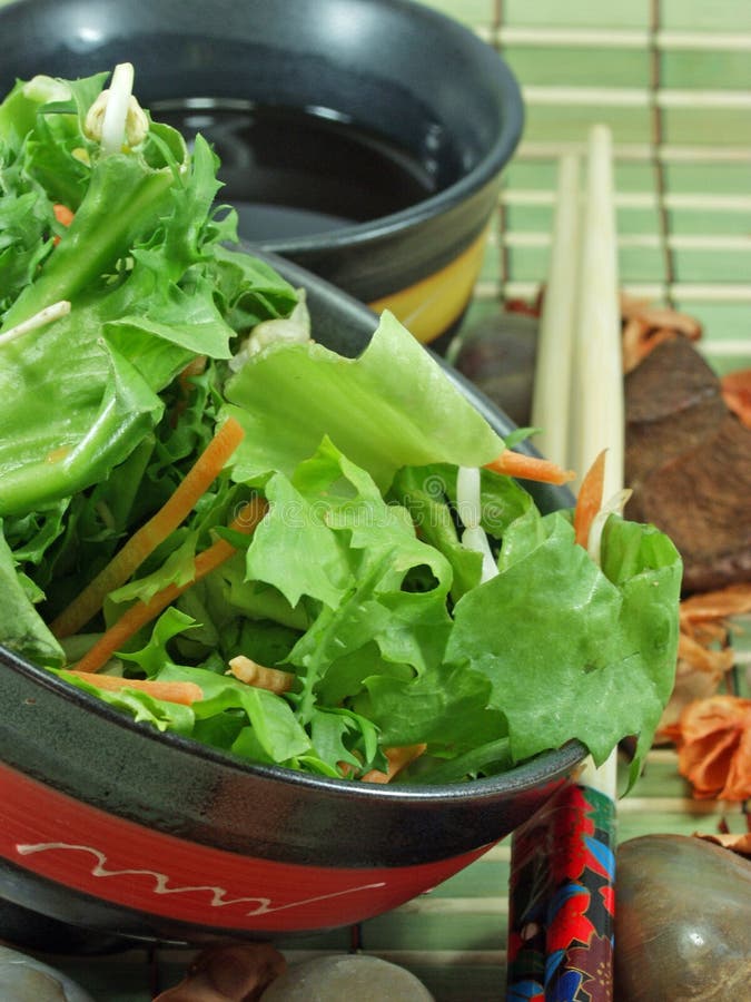 Chinese salad stock image. Image of dinner, mango, friedntaro - 786885