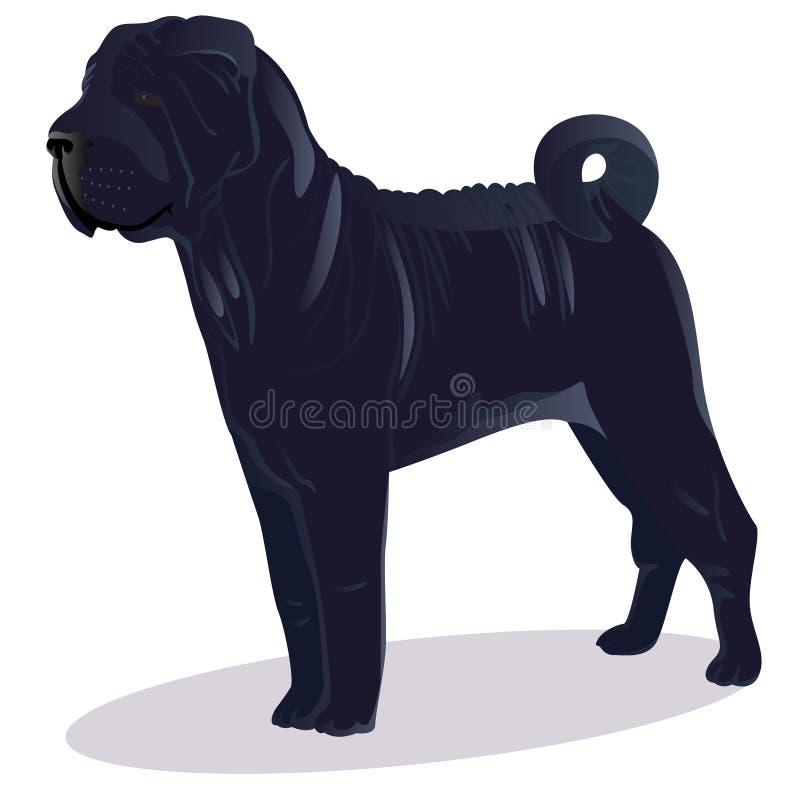 Chinese shar pei blue dog stock vector. Illustration of breed - 88530023