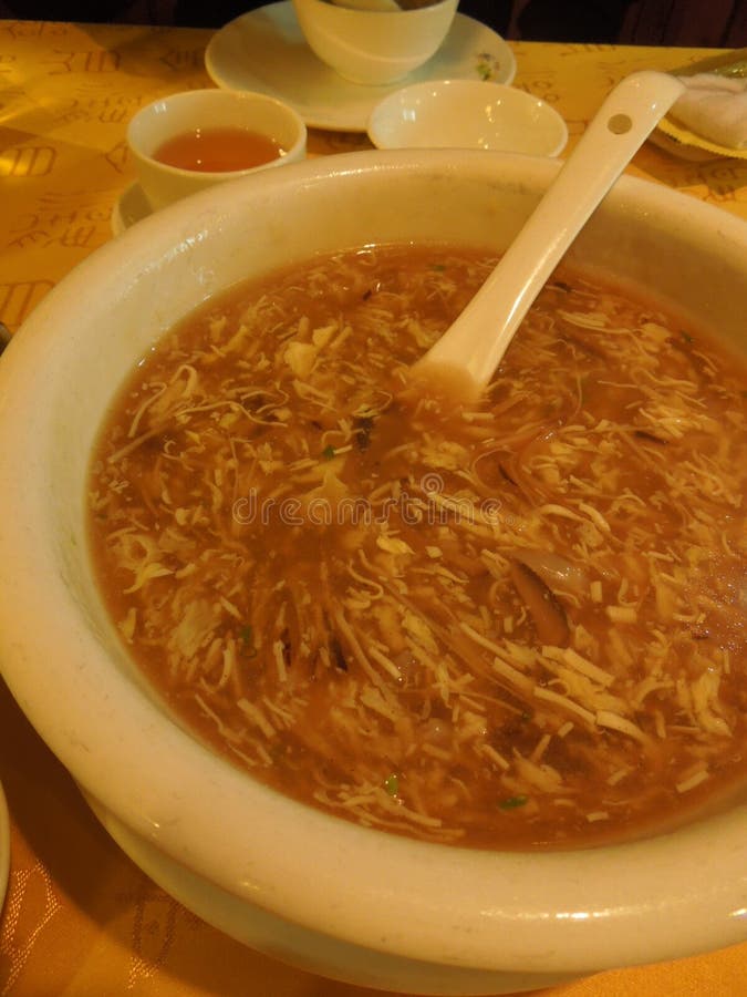 Chinese Sharks Fin Soup Brown Sauce Stock Photo - Image of mushroom ...