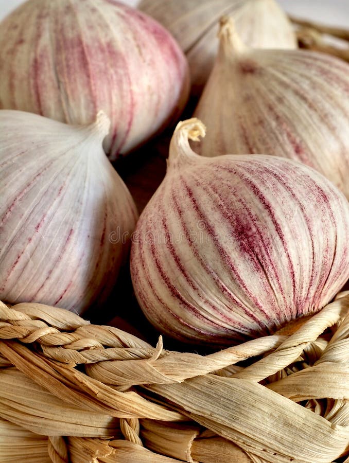 Chinese Single Clove Garlic in a Basket Stock Image - Image of ...