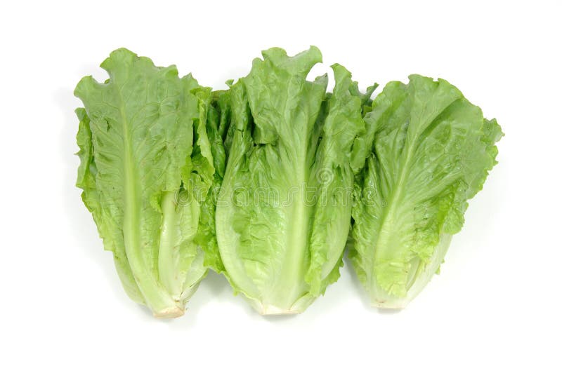 Chinese sla stock foto. Image of baksteen, geïsoleerd - 1016312