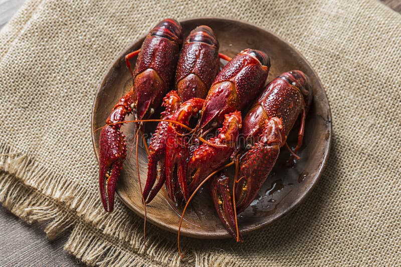 Chinese Spicy crayfish stock image. Image of arena, sports - 155124571