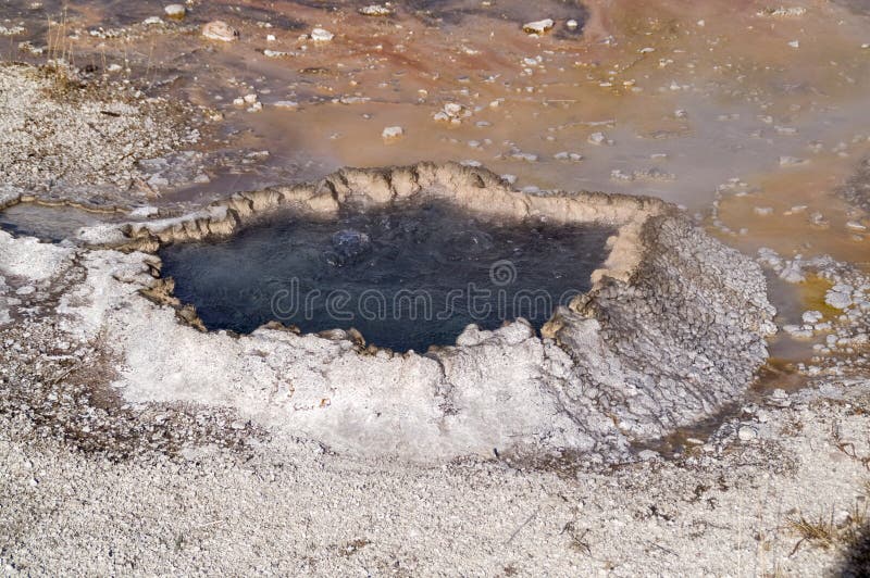 Chinese Spring stock image. Image of upper, fragile, chinese - 18570223