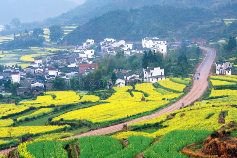Chinese spring stock photo. Image of lake, bead, landscape - 6206380