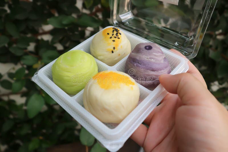 Chinese Spring Rolls, Moon Cake Stock Photo - Image of roll, pack ...