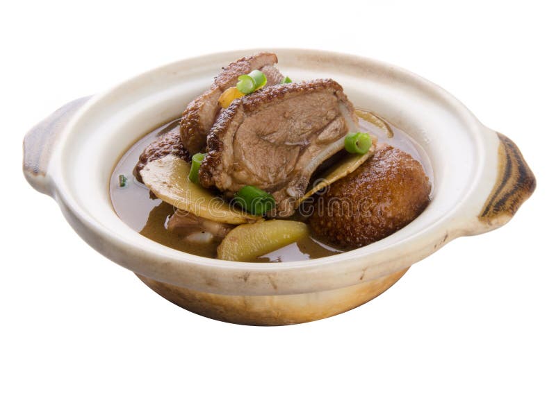Chinese Stew Duck Asia Food Stock Image - Image of onion, main: 25684941