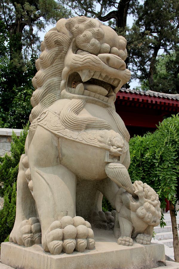 Chinese Stone Lion stock image. Image of golden, oriental - 16501975