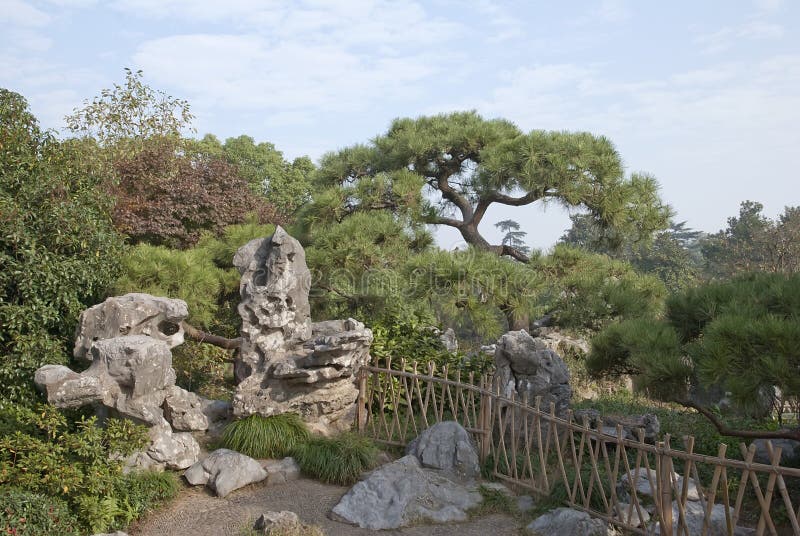 Chinese stone and pine stock photo. Image of serene, historic - 38520024