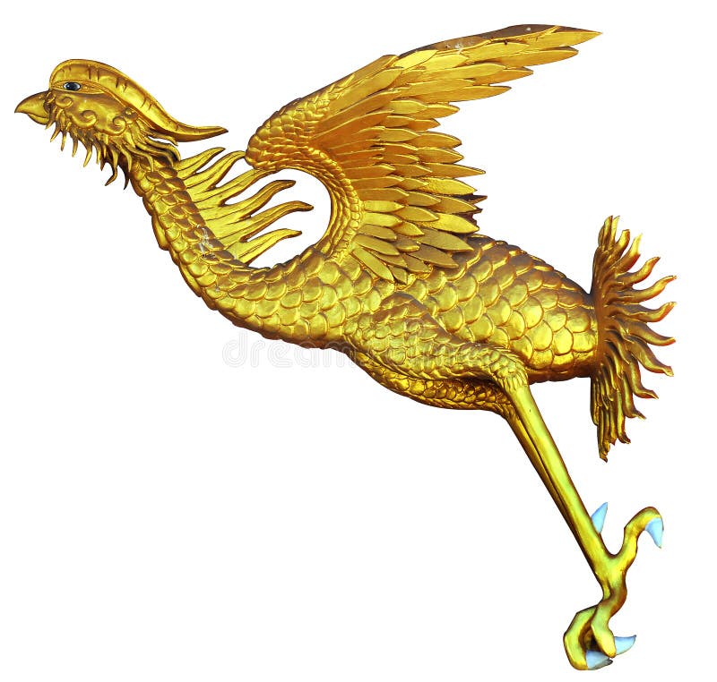 Phoenix Bird stock photo. Image of digital, ngreat, orange - 40832708