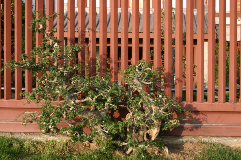 Chinese Style Intricate Carving of Window Grill 26 Dec 2004 Stock Photo ...