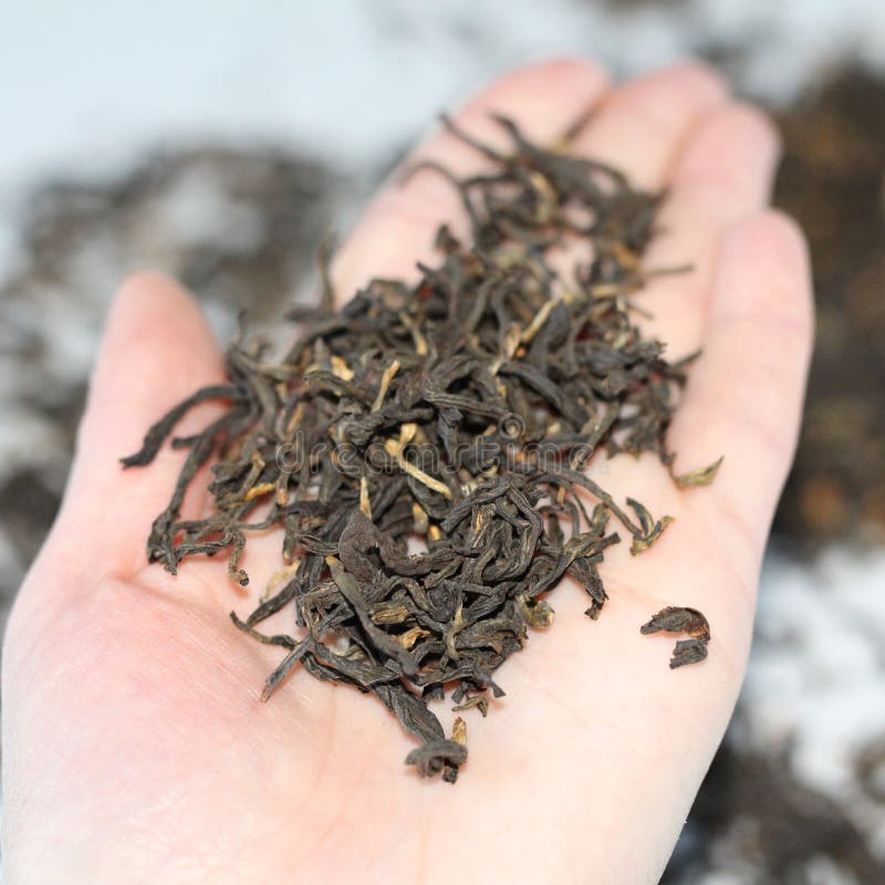 This Chinese Tea. a Scattering of Dry Tea Stock Illustration ...
