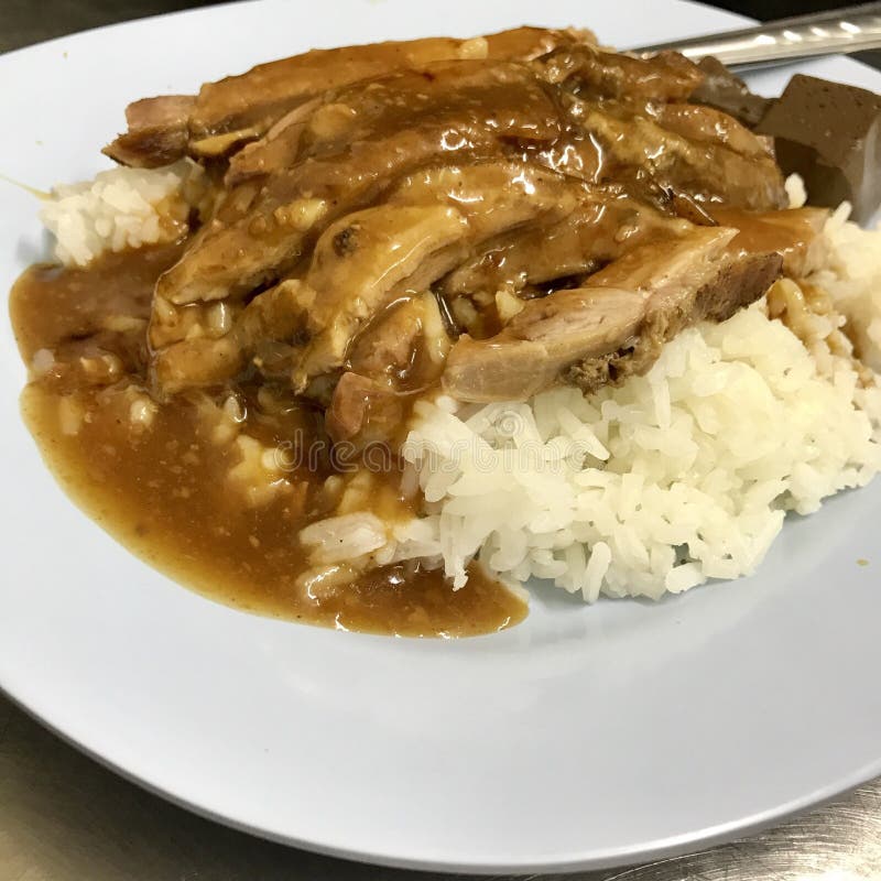 Duck and Rice stock photo. Image of chinese, technical - 111183020