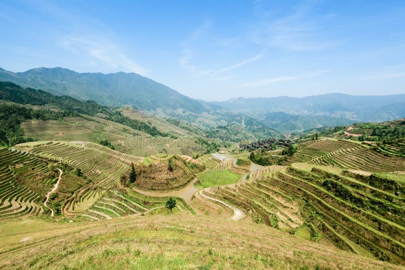 Chinese Terraced Fields Landscape Stock Image - Image of farm ...