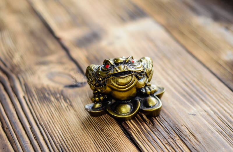 Chinese Toad on Wooden Background Stock Image - Image of gold, good ...