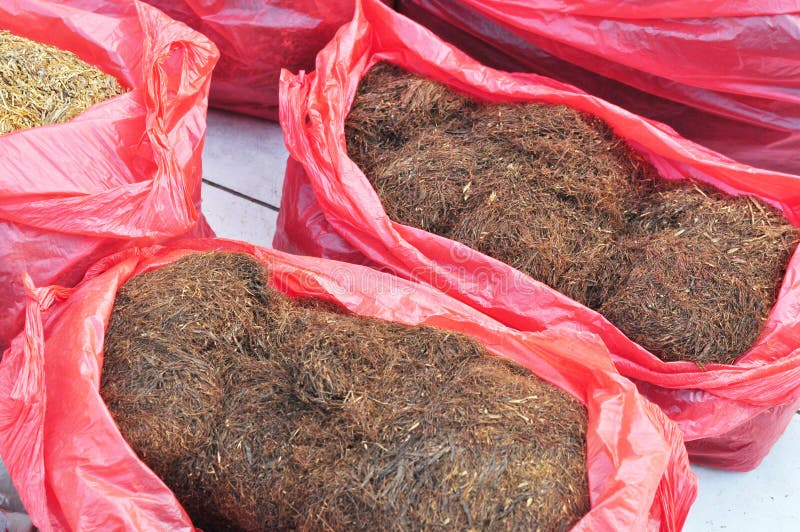 Chinese tobacco stock image. Image of stemmed, tobacco - 20948401