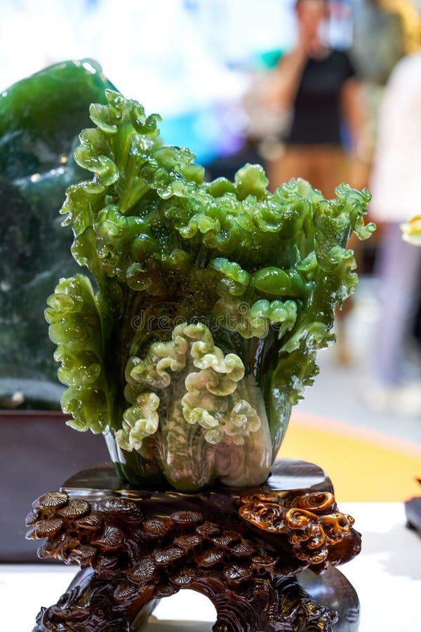 Taiwan Jade Cabbage Stock Photos - Free & Royalty-Free Stock Photos from Dreamstime