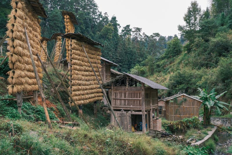 Chinese Traditional Rural Scenery Stock Image - Image of transport ...