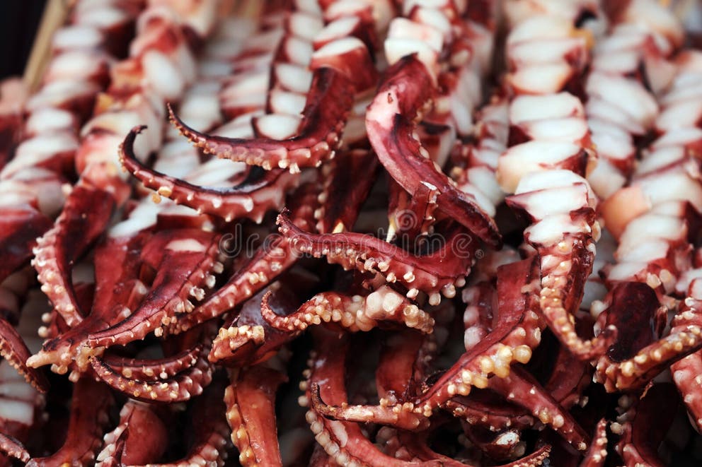 Chinese Traditional Snack Squid String Stock Image - Image of kebab ...