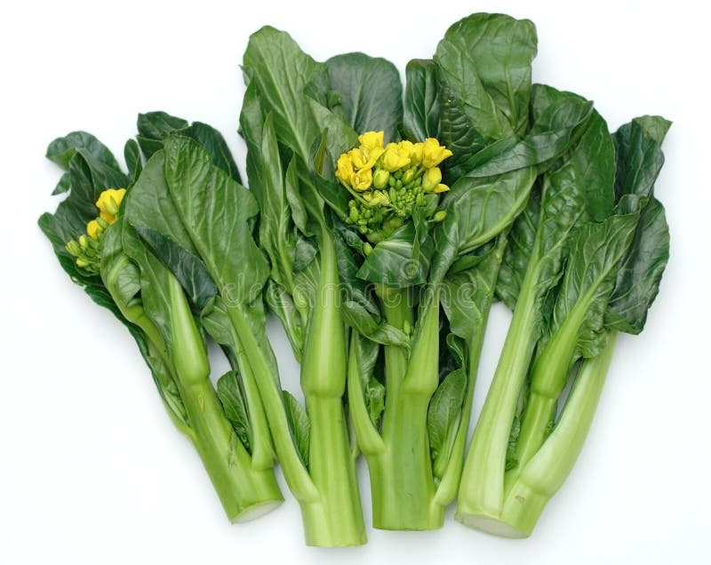 Chinese vegetable-chye sim stock photo. Image of fresh - 4538854
