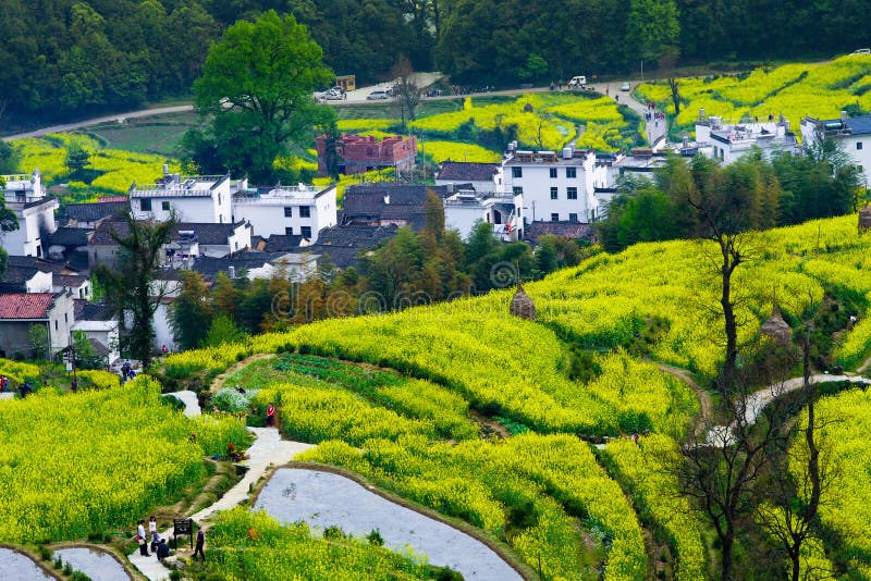 Chinese village editorial photography. Image of tour - 26593437