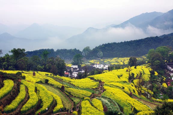 Chinese village stock photo. Image of engaging, interest - 6206300