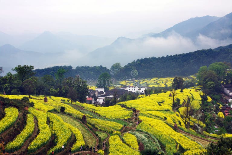 Chinese village stock photo. Image of engaging, interest - 6206300