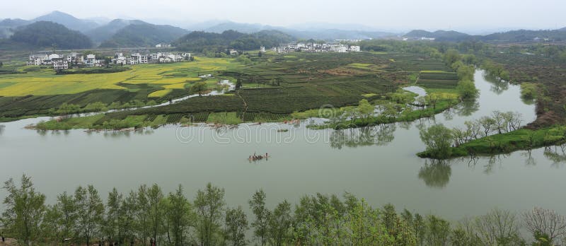 Flower with Reflection Indoor Stock Image - Image of color, beautiful ...