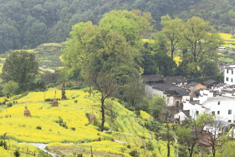 Chinese village in spring stock image. Image of field - 30093707