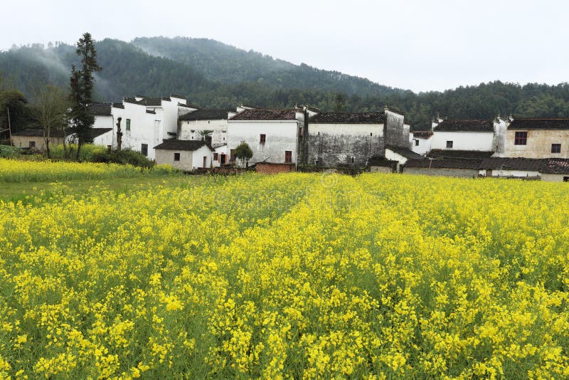 Chinese village in spring stock photo. Image of rural - 30093722