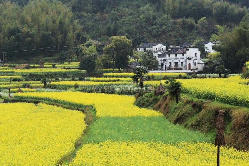 Chinese village in spring stock image. Image of house - 30093725