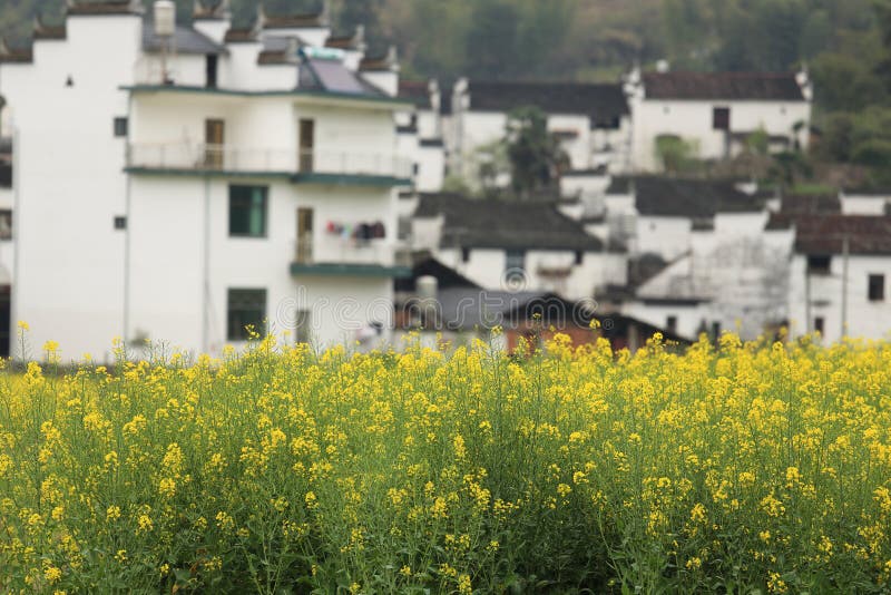 Chinese village in spring stock image. Image of house - 30093745