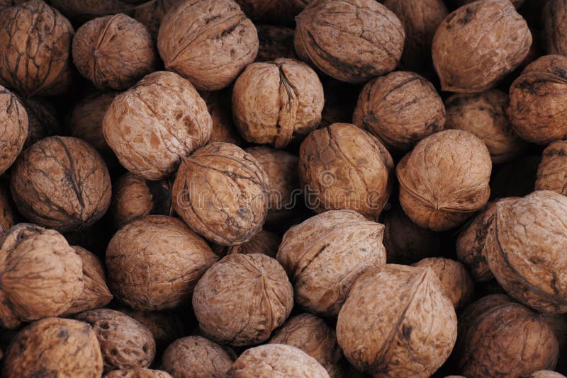 Chinese Walnut stock image. Image of chengdu, dried, close - 12598081