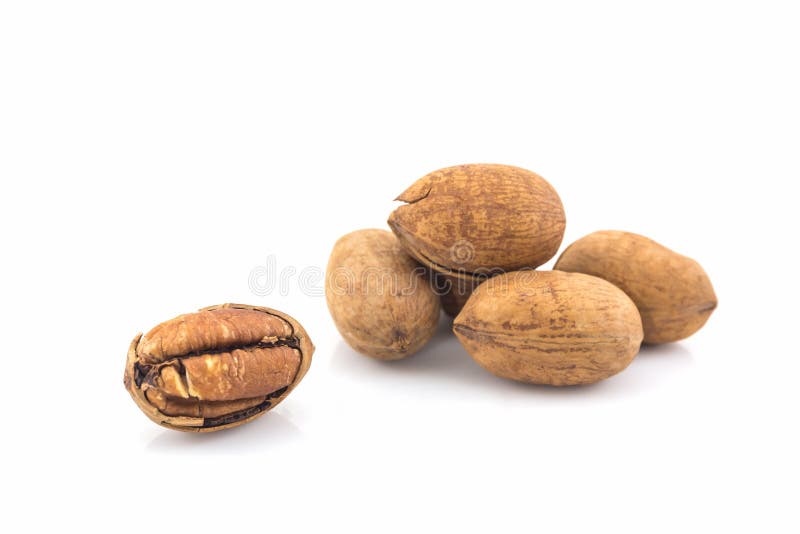 Chinese Walnut Kernels Dried Fruit Food. Stock Image - Image of food ...