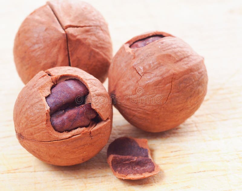 Chinese walnut stock photo. Image of delicious, food - 57916162