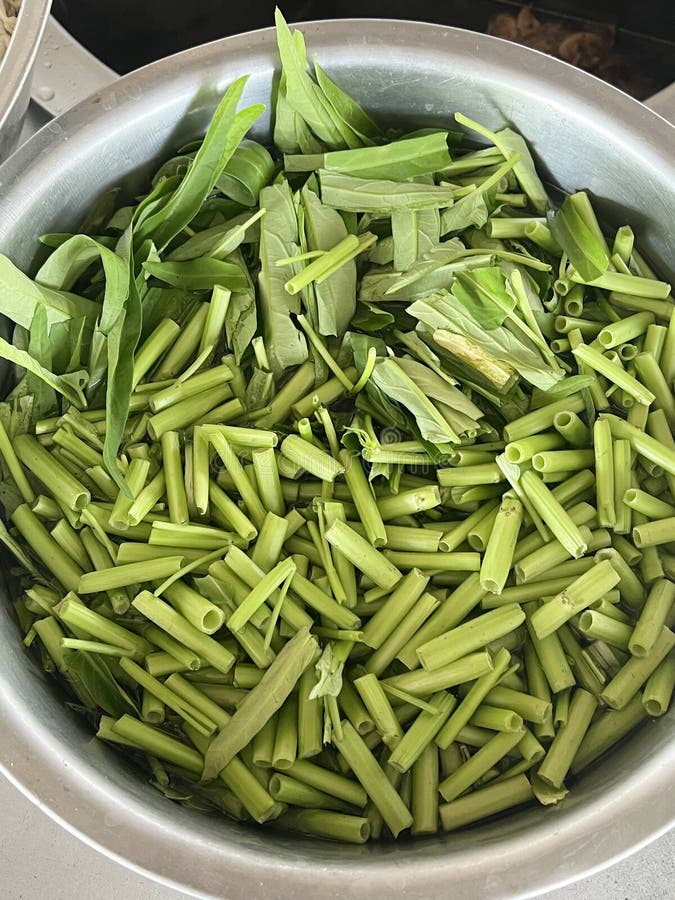 Chinese Water Convolvulus for Cooking Stock Image - Image of plant ...