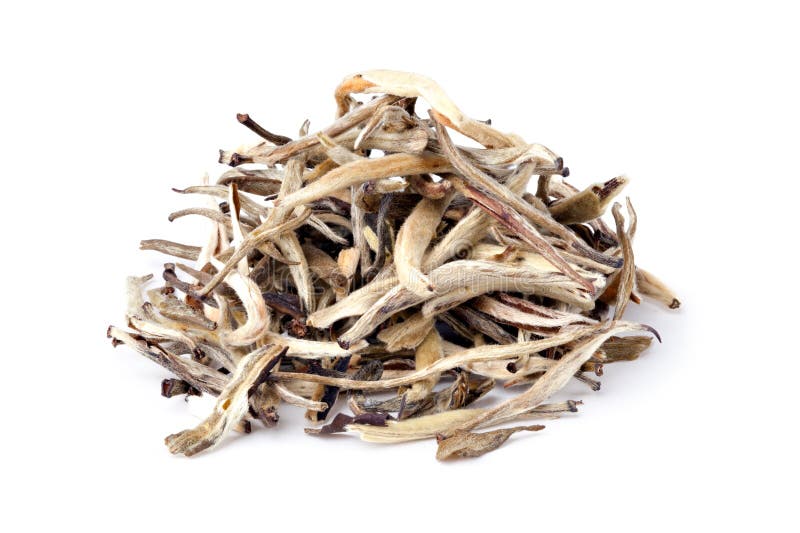 Chinese white tea stock image. Image of withered, health - 31650131