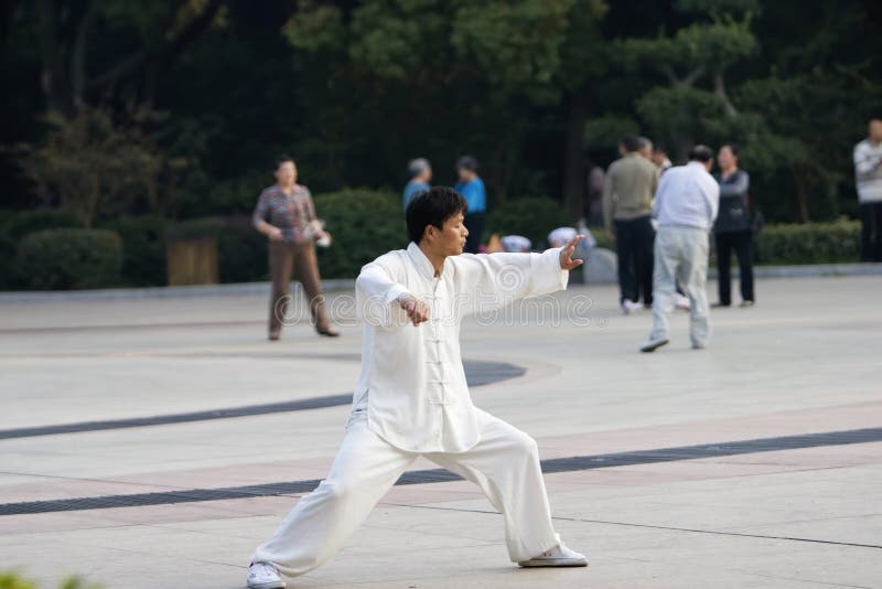 Chinese do taichi outside stock image. Image of healthy - 19833309