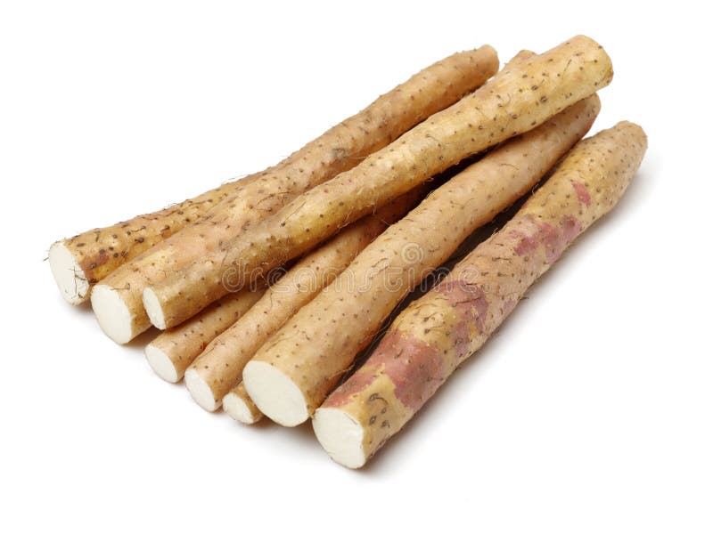 Chinese yam stock photo. Image of starch, mountain, protein - 130075186