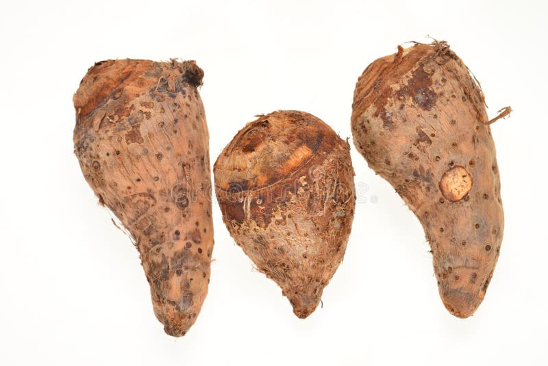 Yam stock photo. Image of underground, sweet, diet, grow - 3761118