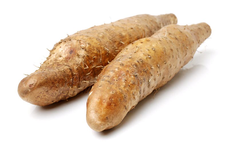 Chinese yam stock photo. Image of shot, nagaimo, starch - 67439520