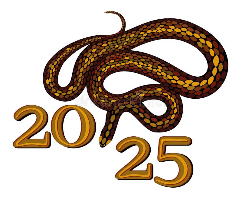 2025. Chinese Year of Snake Stock Vector - Illustration of python ...