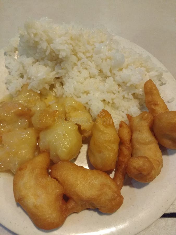 Chinese yumminess stock image. Image of chicken, rice - 93447307