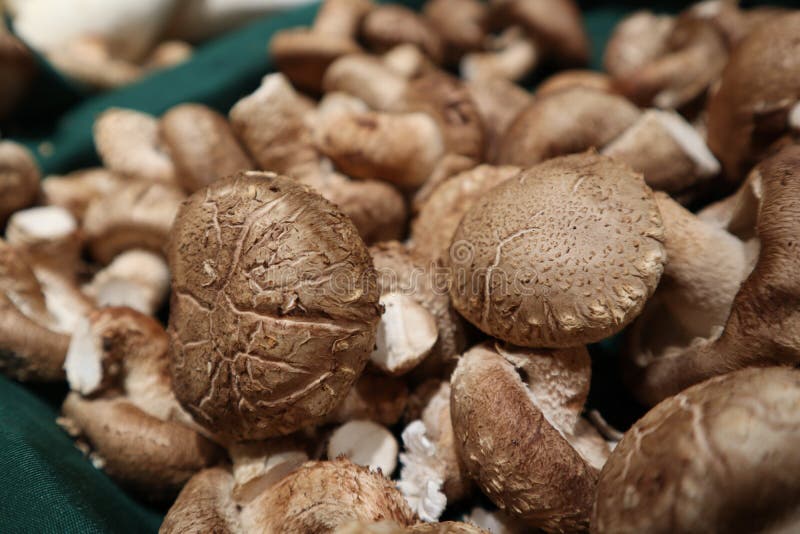 Chinesische Bio-Pilze Im Supermarkt Stockbild - Bild von eignung ...