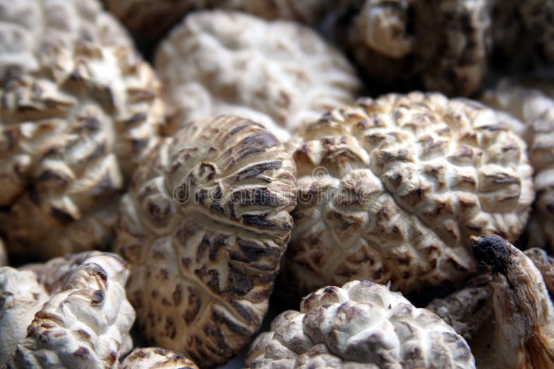 Chinesische Getrocknete Pilze Stockbild - Bild von küche, schutzkappe ...