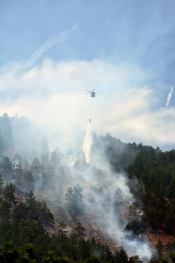 Chinook Firefighting Helicopter Drops Water on a Forest Fire in Stock ...