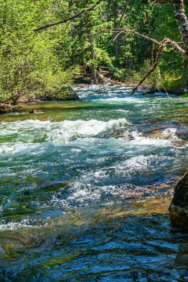 Chinook Pass Clear Stream 7 Stock Photo - Image of wilderness, flowing ...