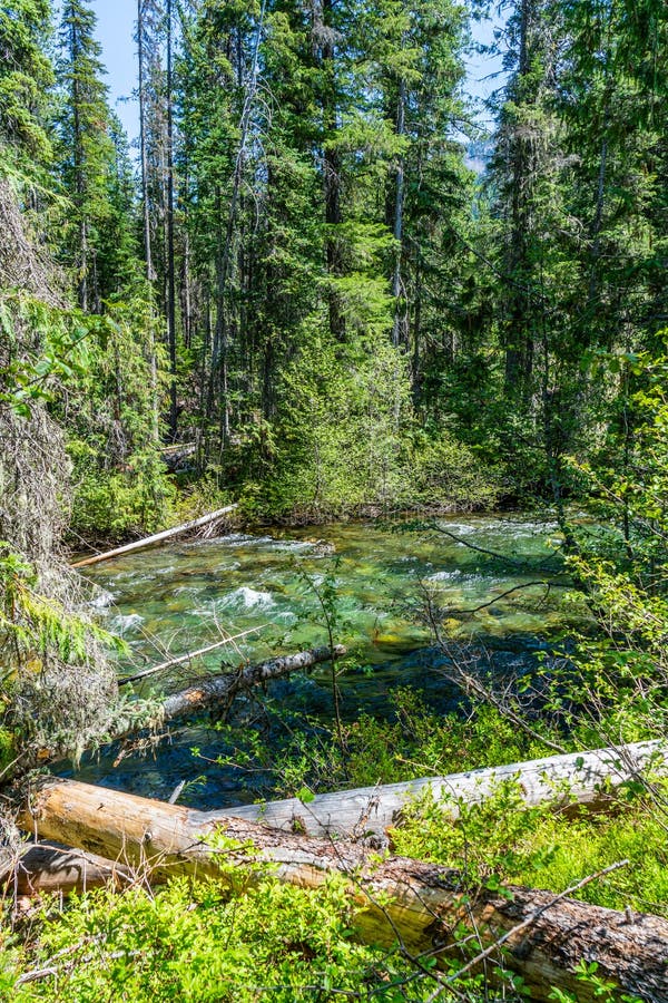 Chinook Pass Clear Stream 3 Stock Photo - Image of river, wilderness ...