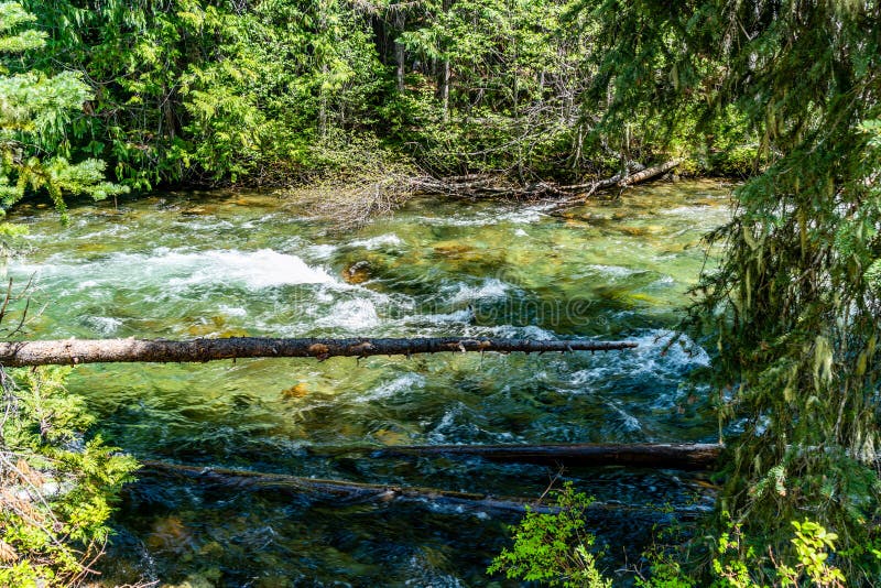 Chinook Pass Clear Stream stock image. Image of flowing - 280999847